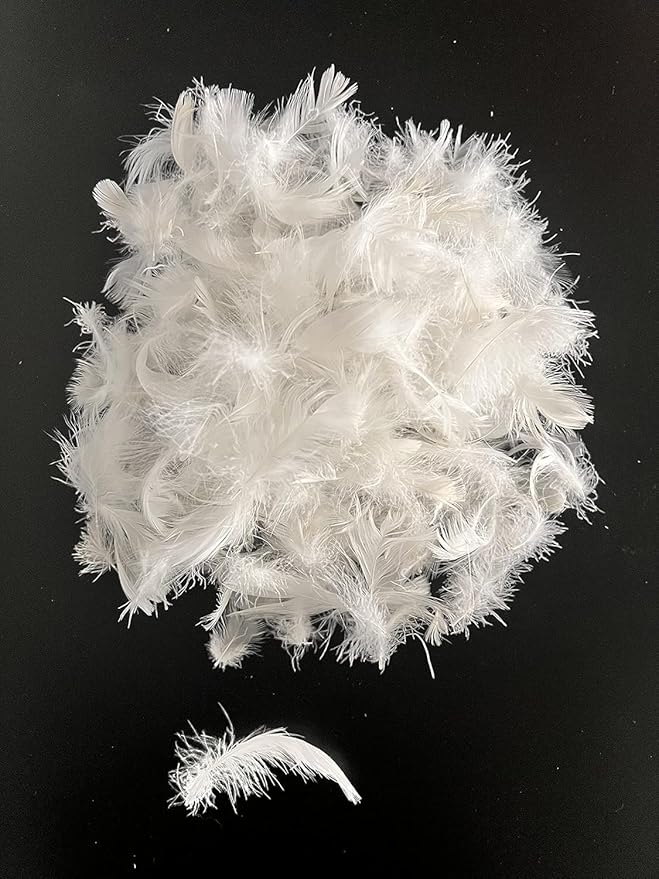 Amazon.com: ROSE FEATHER Bulk Goose Down Feather Stuffing & Fill ...