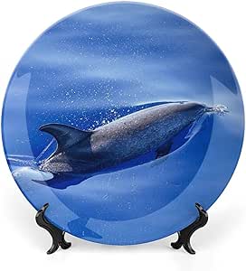 Dolphin Ocean Decorative Plates for Home Decor Porcelain Keepsake ...