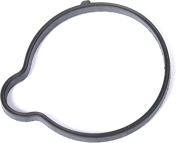 Amazon.com: GM 55565619 Turbocharger Oil Return Pipe Gasket : Automotive