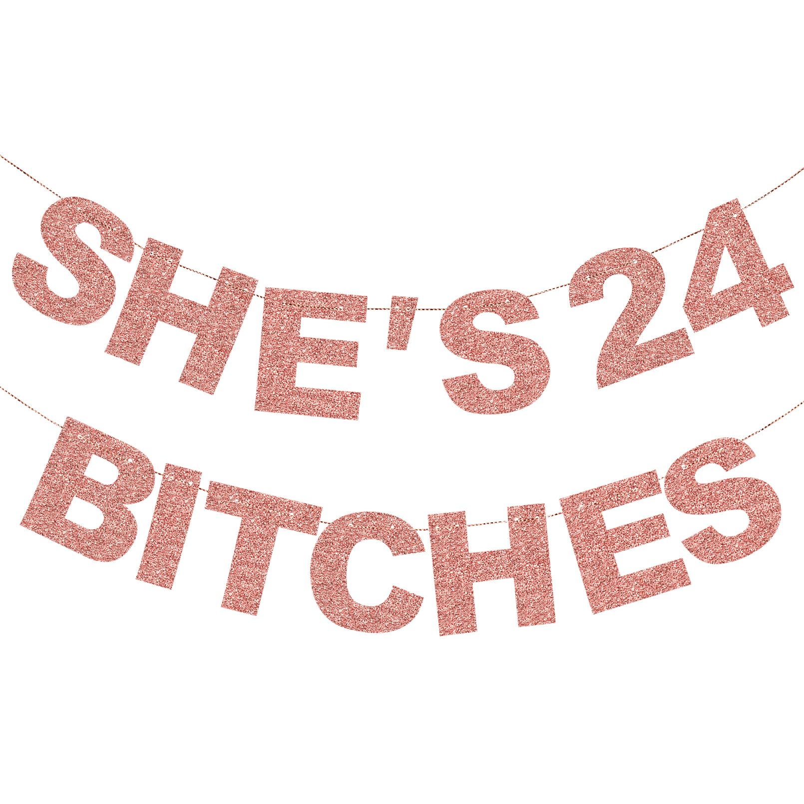 Amazon.com: 24th Birthday Decorations for Her, Pre-Strung She's 24 ...
