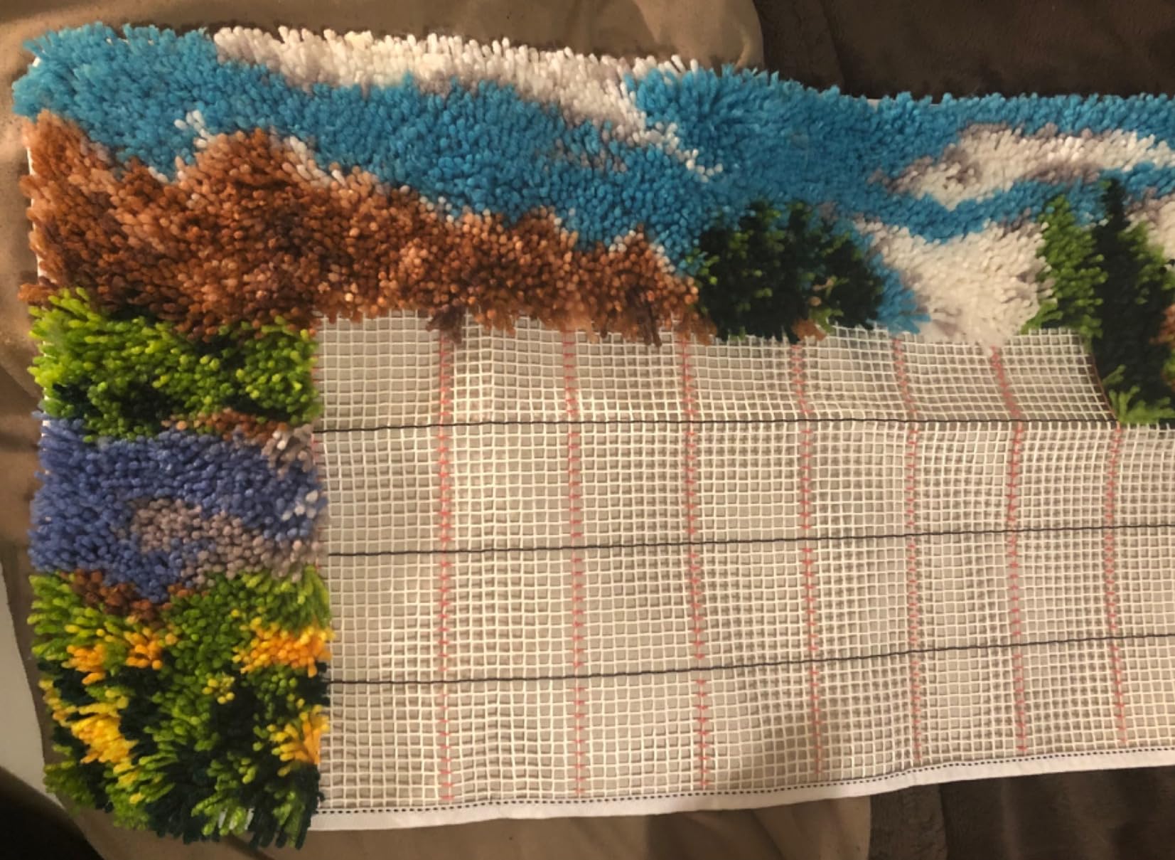 Latch Hook Rug Kit, DIY Rug Making Kit for Adults Kids, Tiger Rug ...