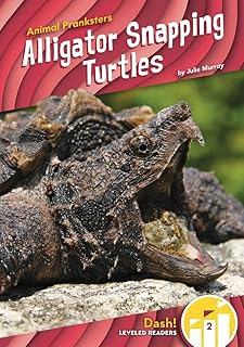 Alligator Snapping Turtles: How Long Do They Live? | PetShun