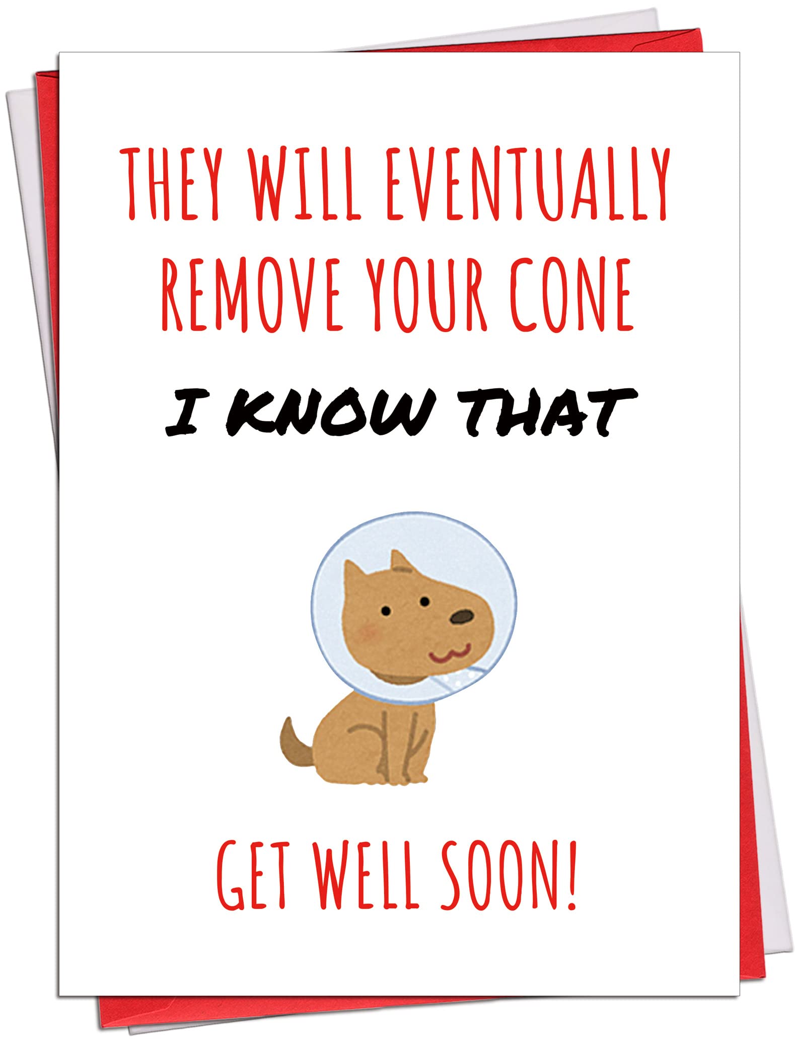 Get Well Soon Dog Cone
