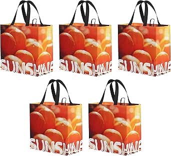 Amazon.com: Earthwise Reusable Grocery Shopping Bags Extremely Durable ...