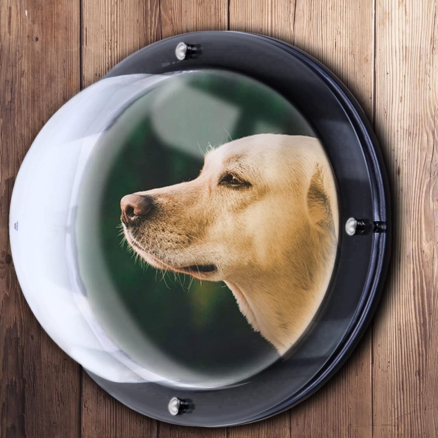 H-YEEU Dog Fence Window, Clear Perspex Acrylic Pet Porthole Dog Fence ...
