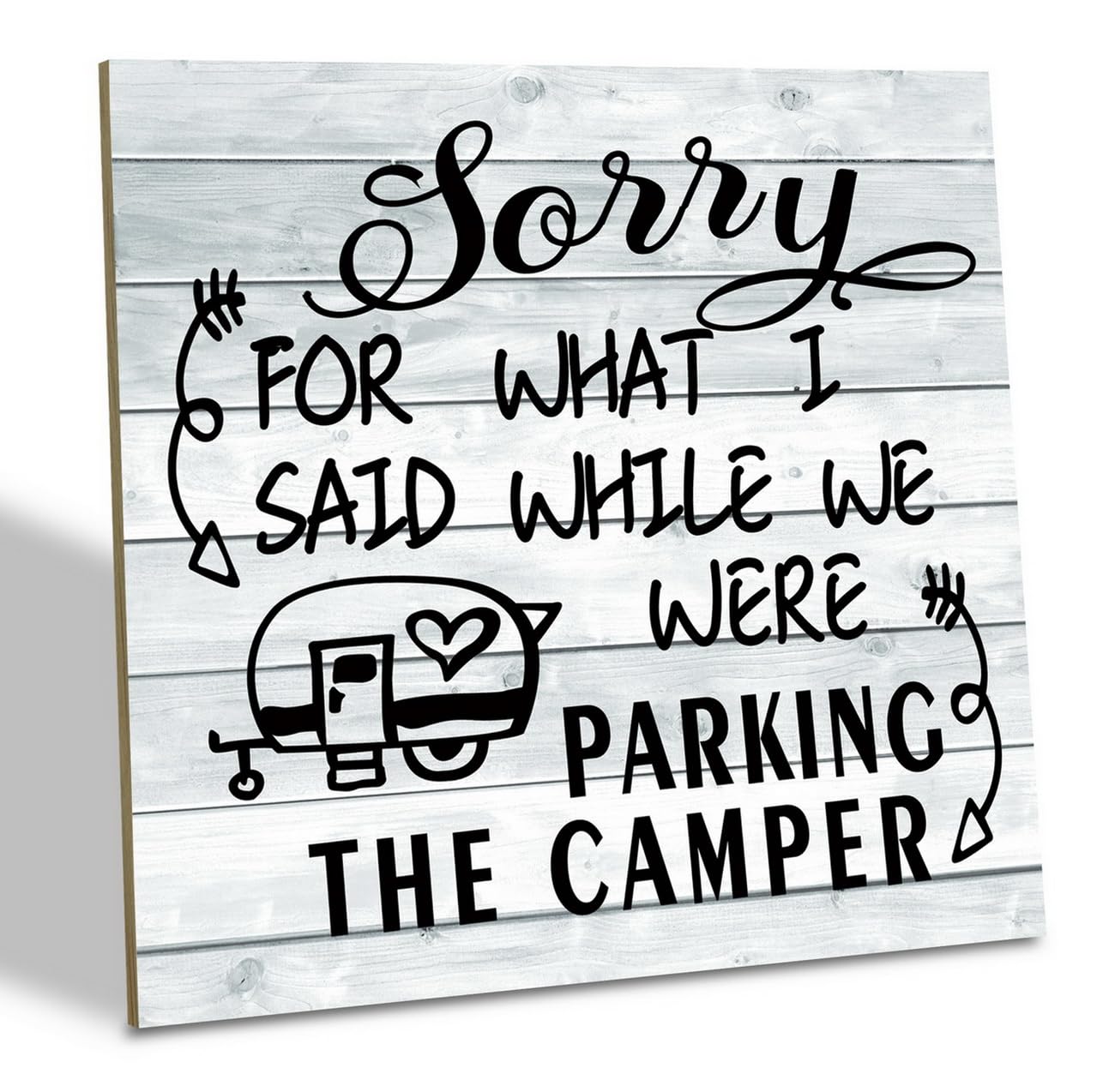 Amazon.com: Camping Wood Sign, Sorry for What I Said While We were ...