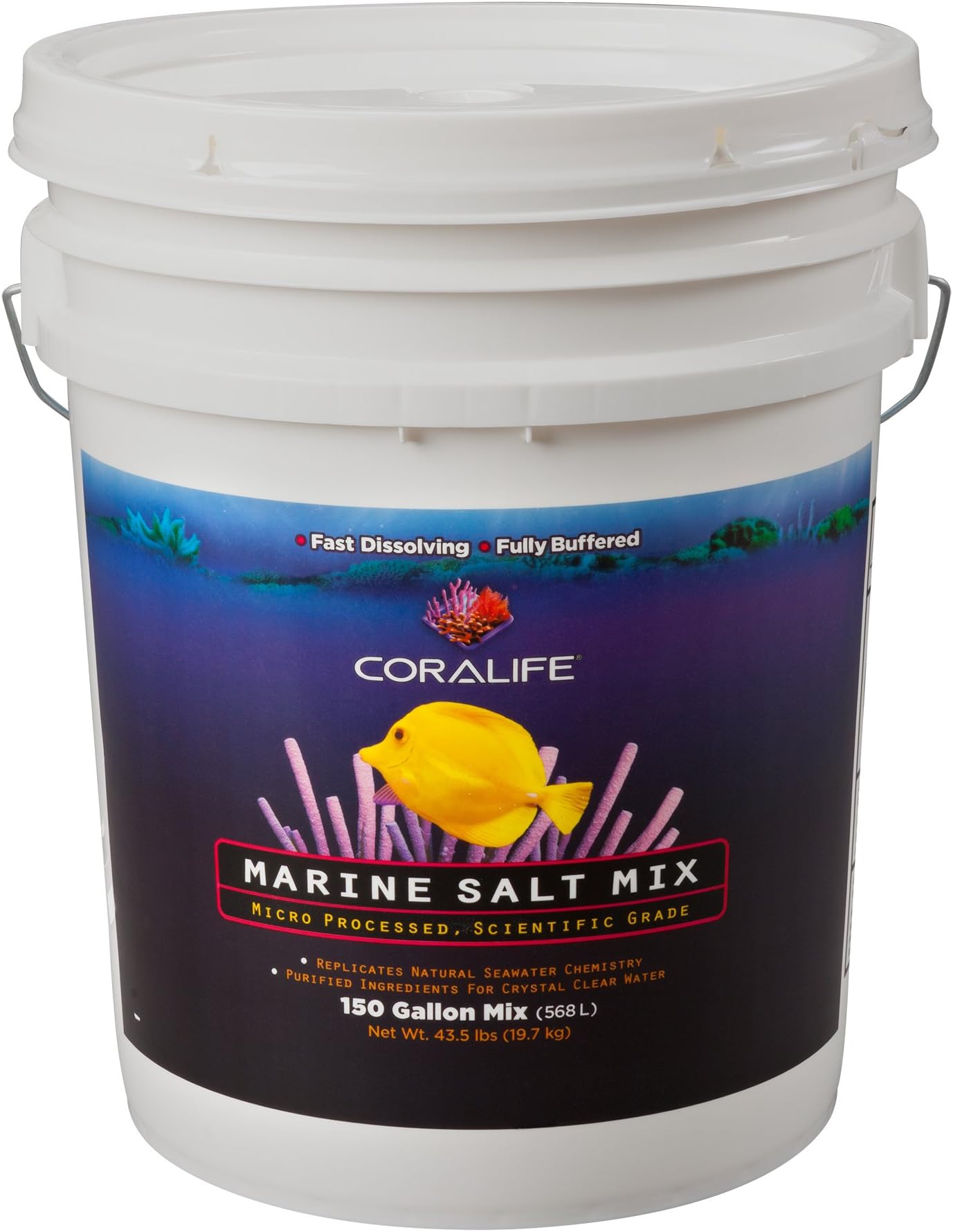 Amazon.com : Coralife Marine Saltwater Aquarium Salt Mix - 150gal ...