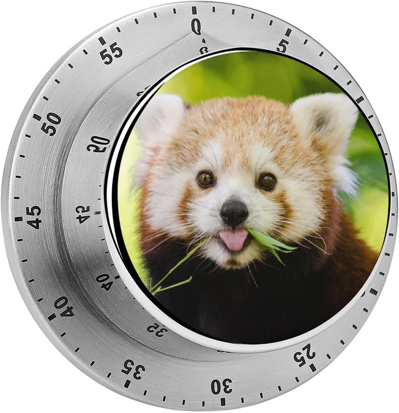 Amazon.com: Kitchen Timer Red Panda Countdown Timer Magnetic Timer ...