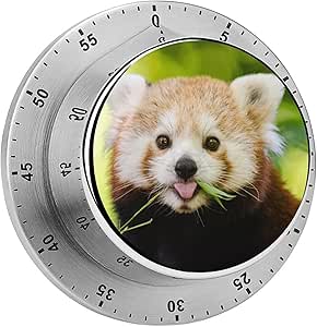 Amazon.com: Kitchen Timer Red Panda Countdown Timer Magnetic Timer ...