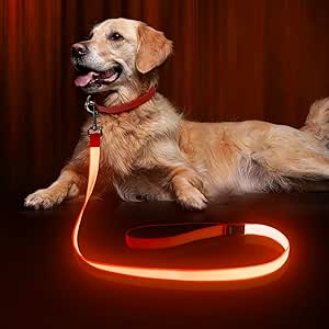 LED Dog Leash Light Up Dog Leash 4 Feet Micro USB Rechargeable Nylon ...