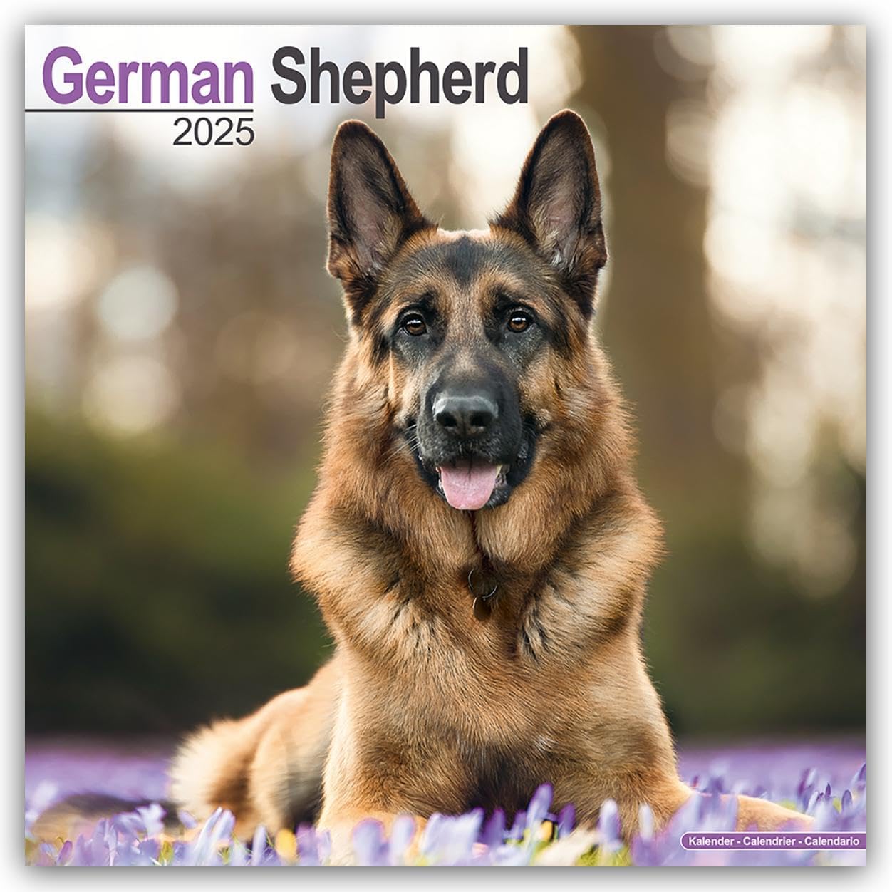 German Shepherd 2025 Square Wall Calendar | Dog Breed Calendar ...