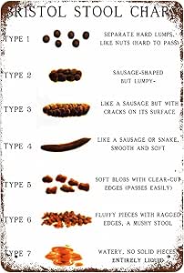 Amazon.com: Metal Sign 8"x12" Vintage Bristol Stool, Retro Wall Decor ...