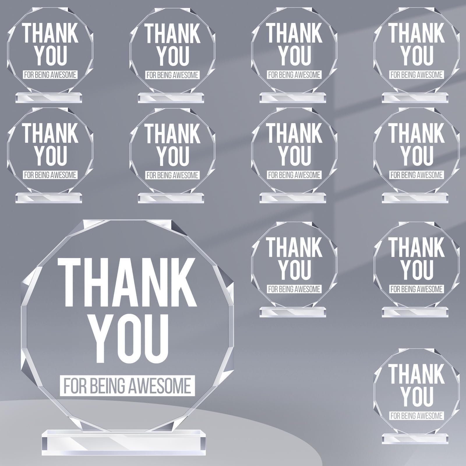 Award Plaque 12 Pcs Employee Appreciation Awards - Acrylic Thank You ...