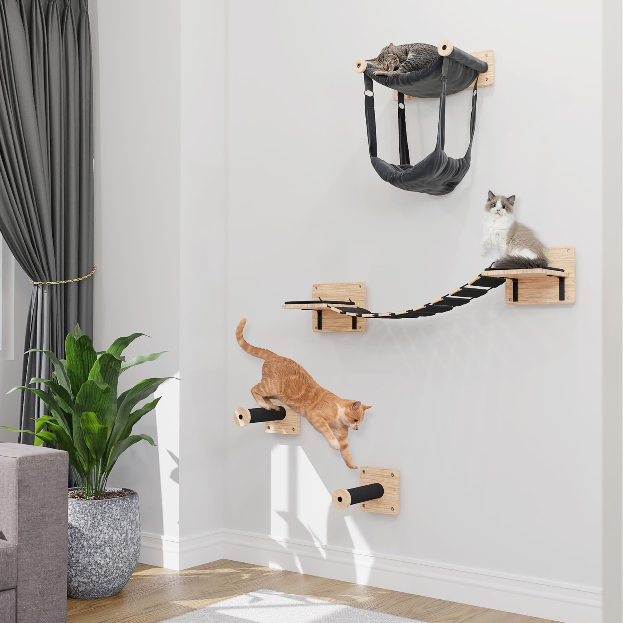 Amazon.com : Cat Wall Shelves Set - Cat Wall Furniture with 2 Cat ...
