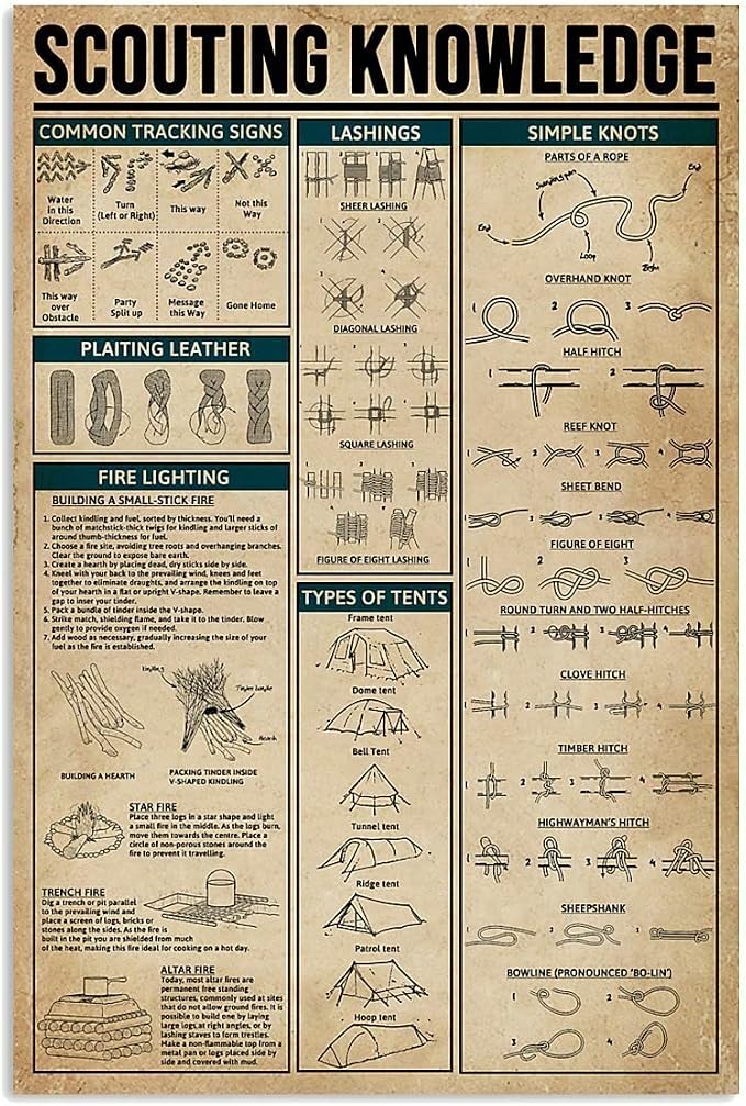 Amazon.com: Curteny Metal Poster Plaque Scouting Knowledge Poster Gift ...