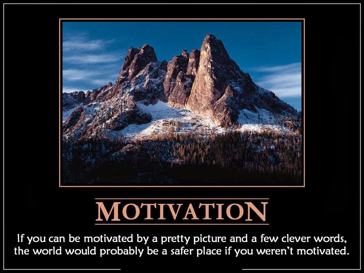 Amazon.com: Gifts Delight Laminated 17x13 Poster: Demotivational ...