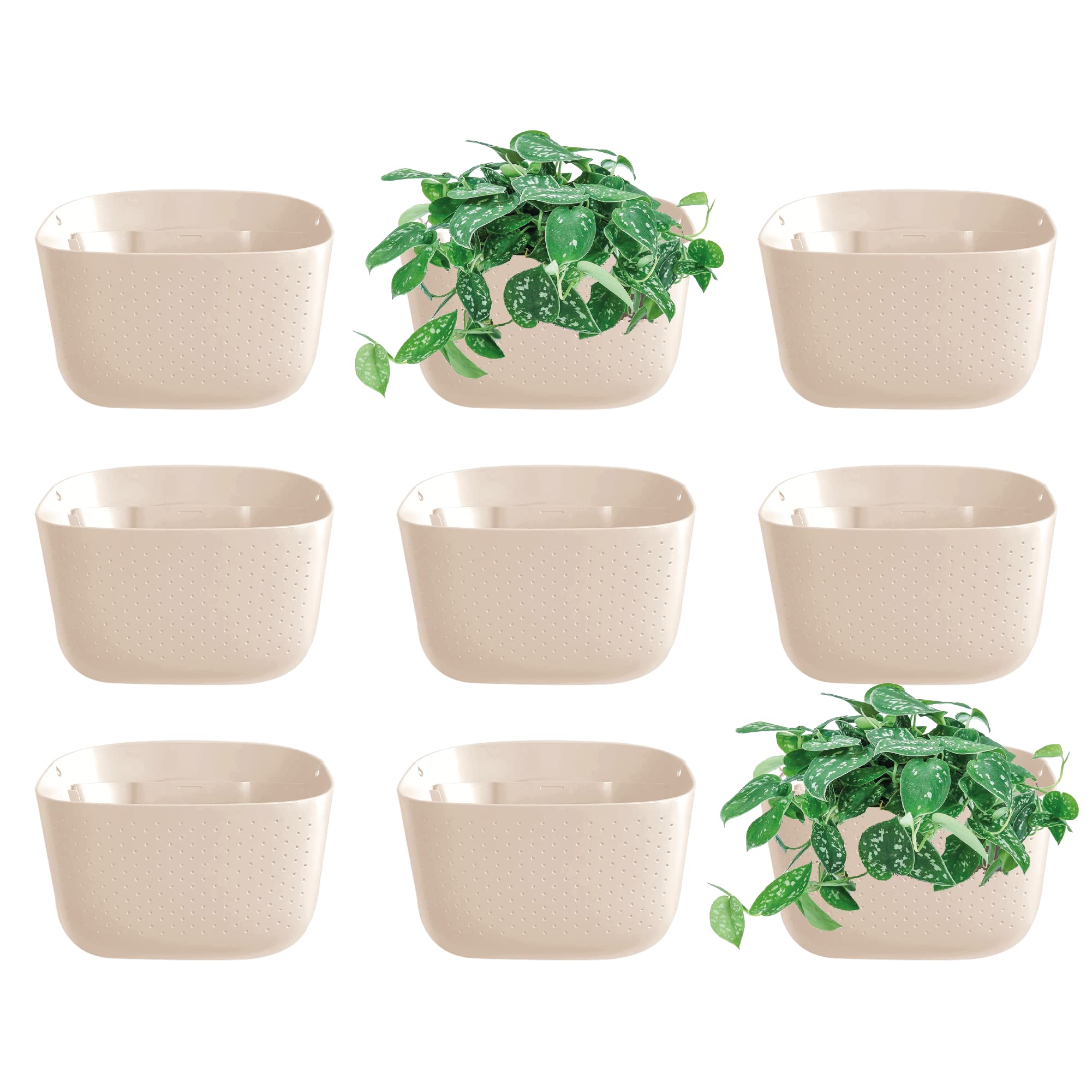 Plastic Wall Planters