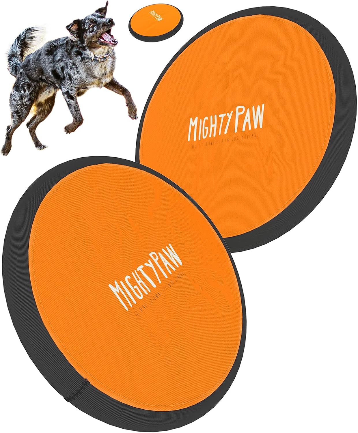Mighty Paw Dog Frisbee - 2 Pack Fetch Toy - 10.5 Inch Lightweight Disc - Easy to Throw - Soft ...
