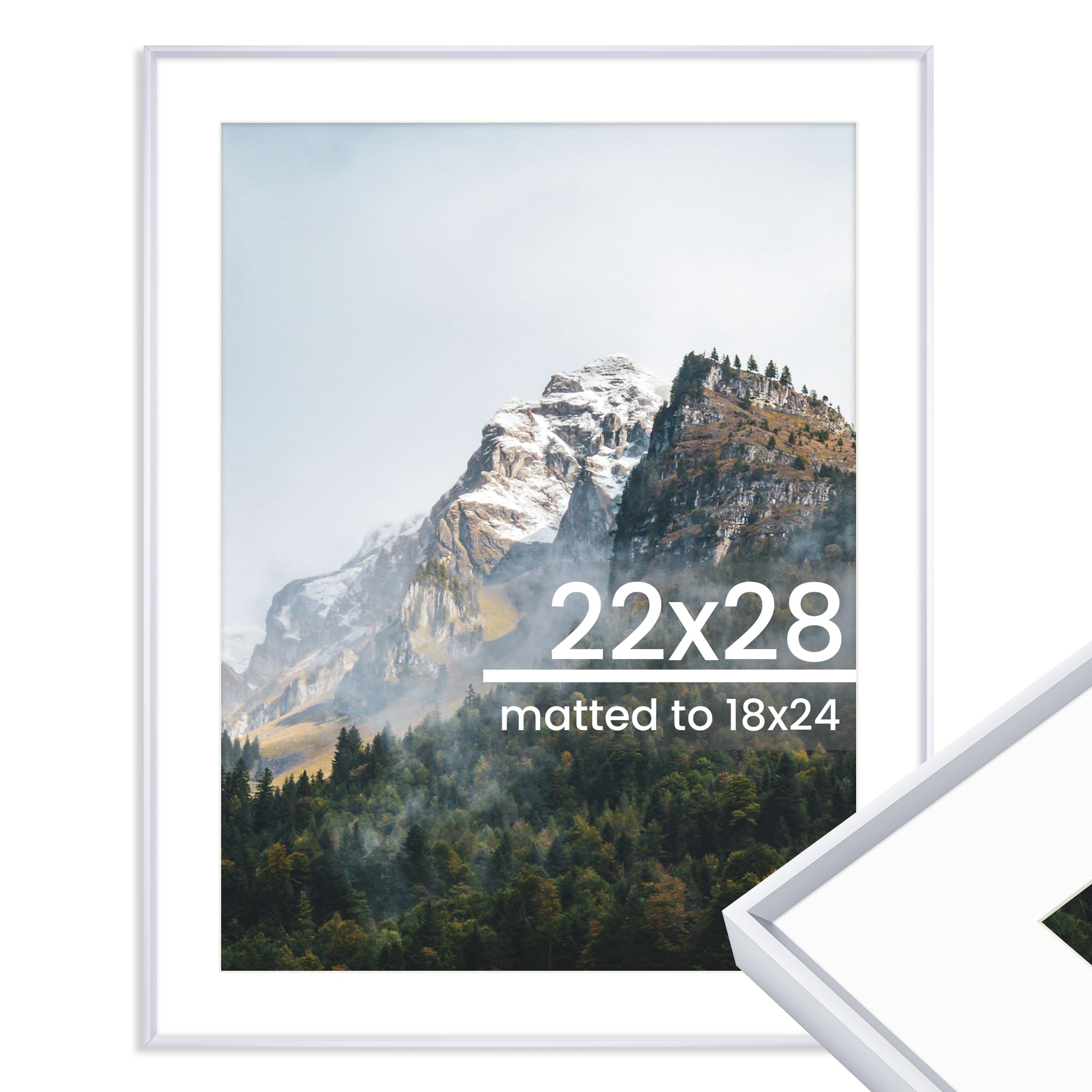 Amazon.com - FLYJOE 22x28 Frame|22x28 Poster Frame Silver with Mat for ...