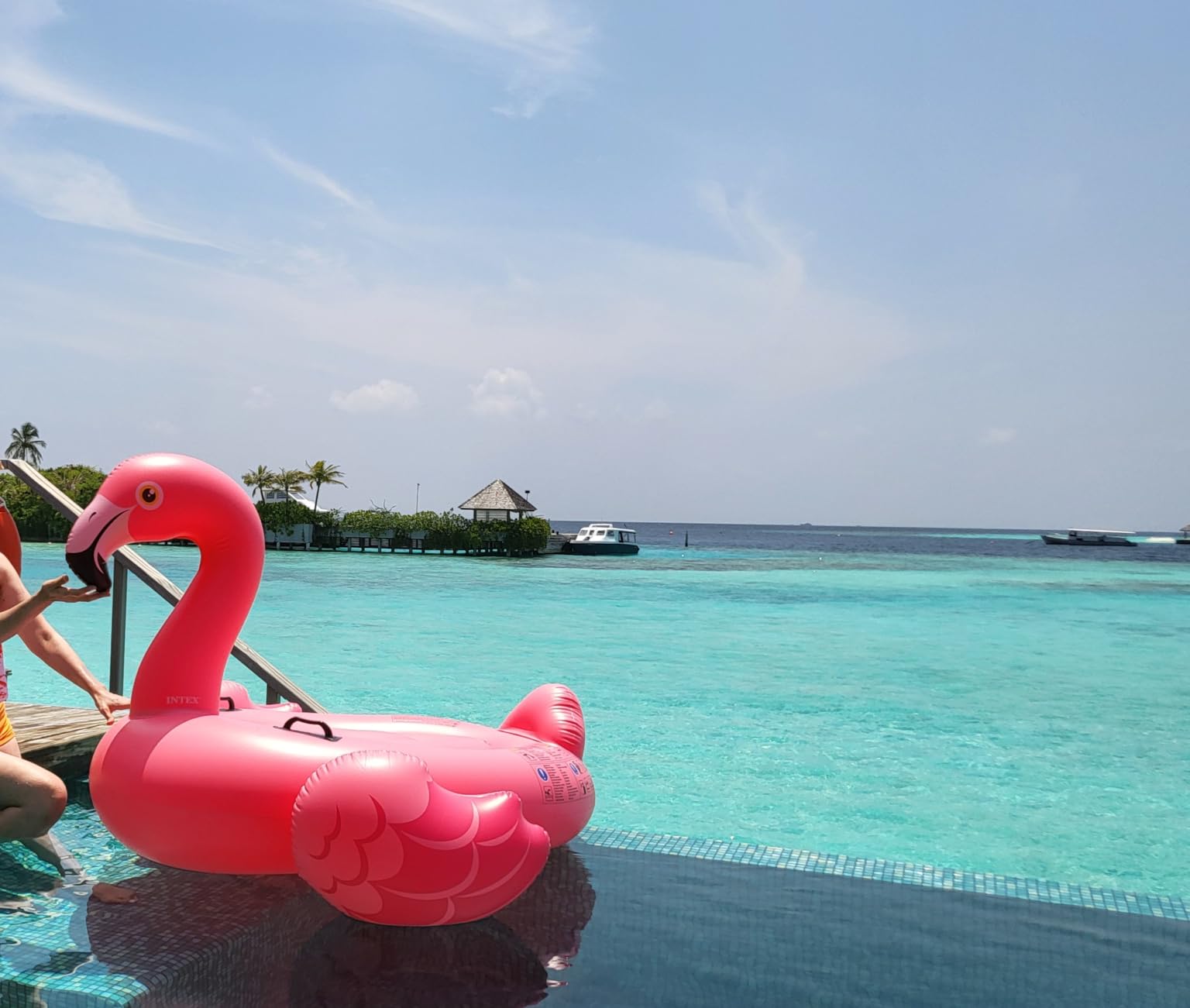 Flamingo Swimming Inflatable Float for Adults & Kids (Size: 56" x 54" x ...