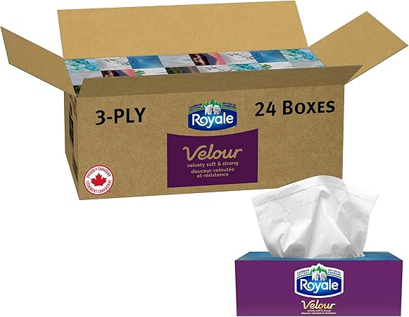 Royale Velour 3 Ply Facial Tissue, 24 Tissue Boxes, 72 Tissues per Box ...