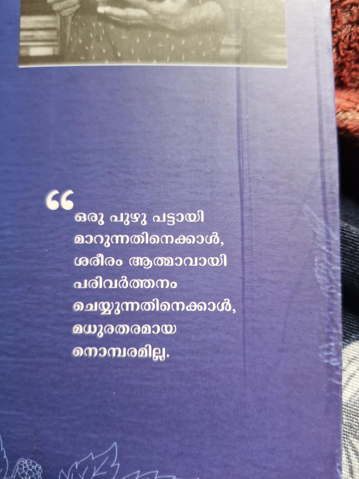 MULBERRY - ENNODU NINTE ZORBAYE KURICHU PARAYU