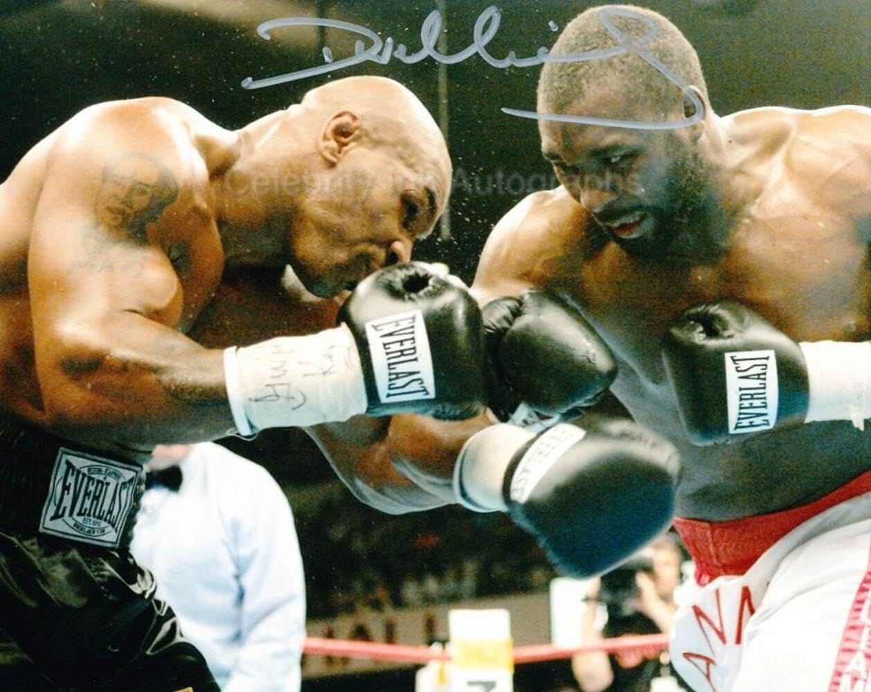 DANNY WILLIAMS - Boxer 8"x10" Genuine Autograph at Amazon's ...
