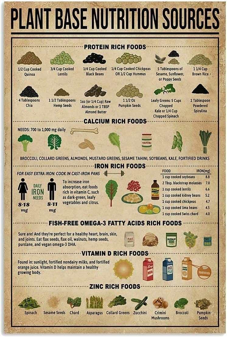 Amazon.com: Youpinnong Plant Based Nutrition Sources Poster Knowledge ...