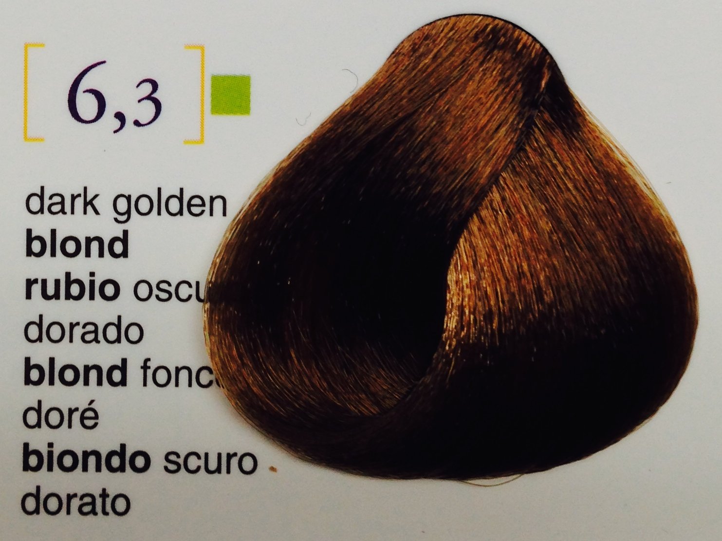 Amazon.com : Salerm Color Cream Coloring Treatment Without Ammonia ...