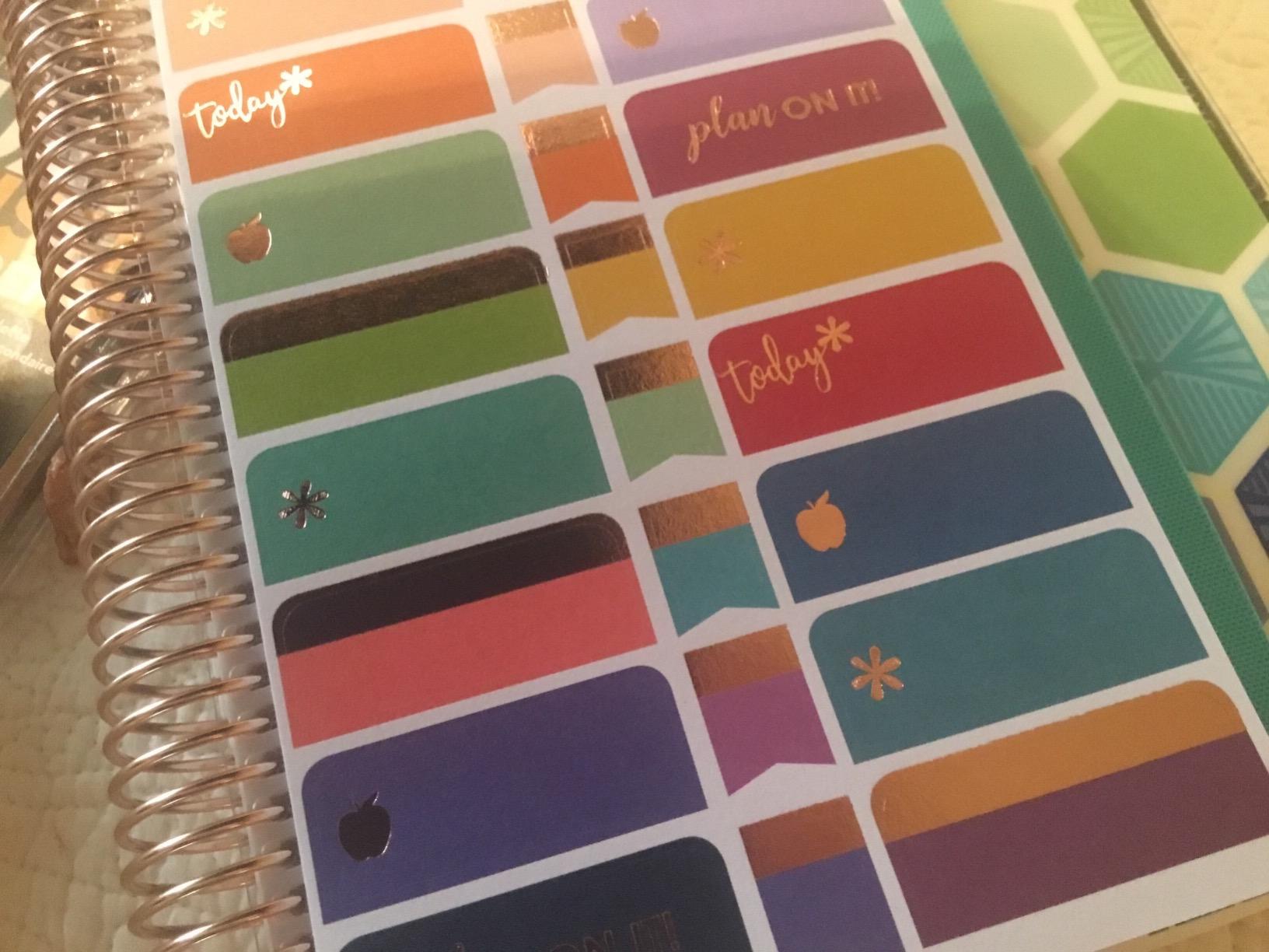 Erin Condren Designer Sticker Pad - A+ Style Sticker Pad for School and ...