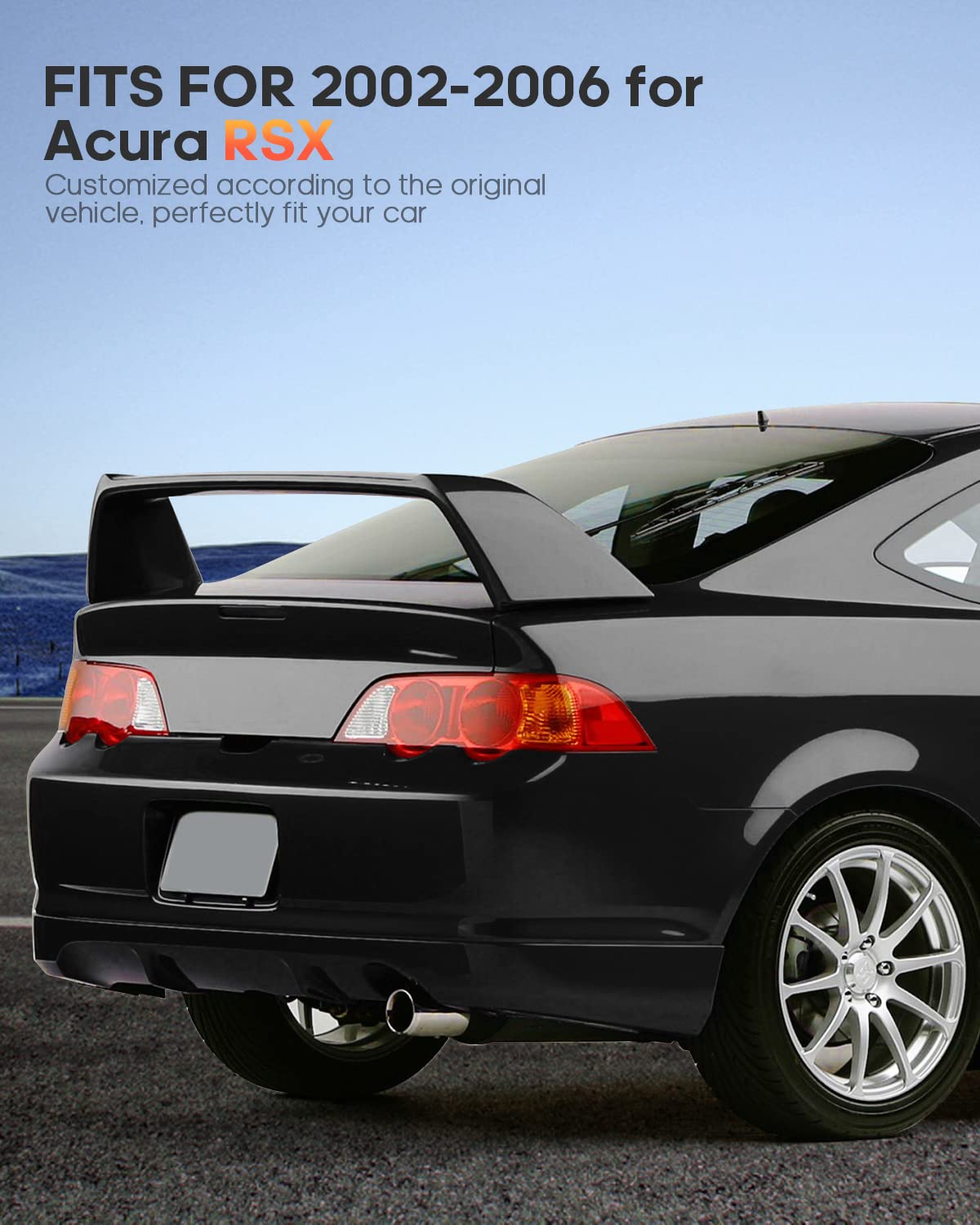 Acura Rsx 2006 Custom