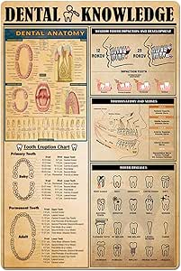 Amazon.com: Dental Knowledge Metal Tin Signs Dental Anatomy Information ...