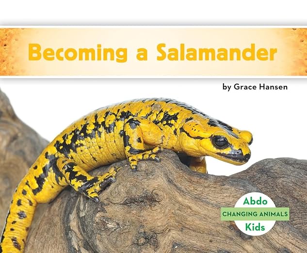 Becoming a Salamander (Changing Animals Set 1): Hansen, Grace ...