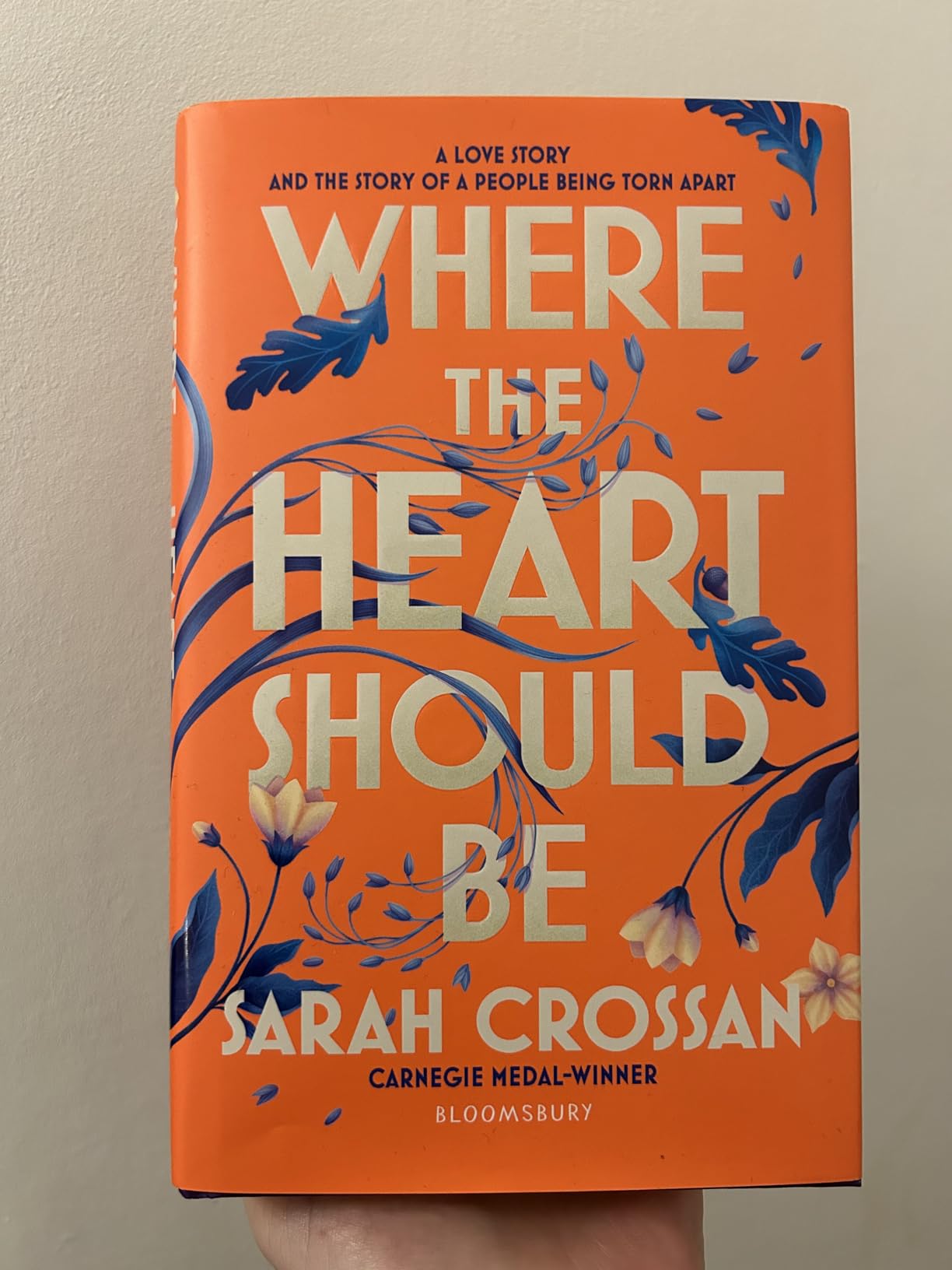 Where the Heart Should Be: The Times Children's Book of the Week ...