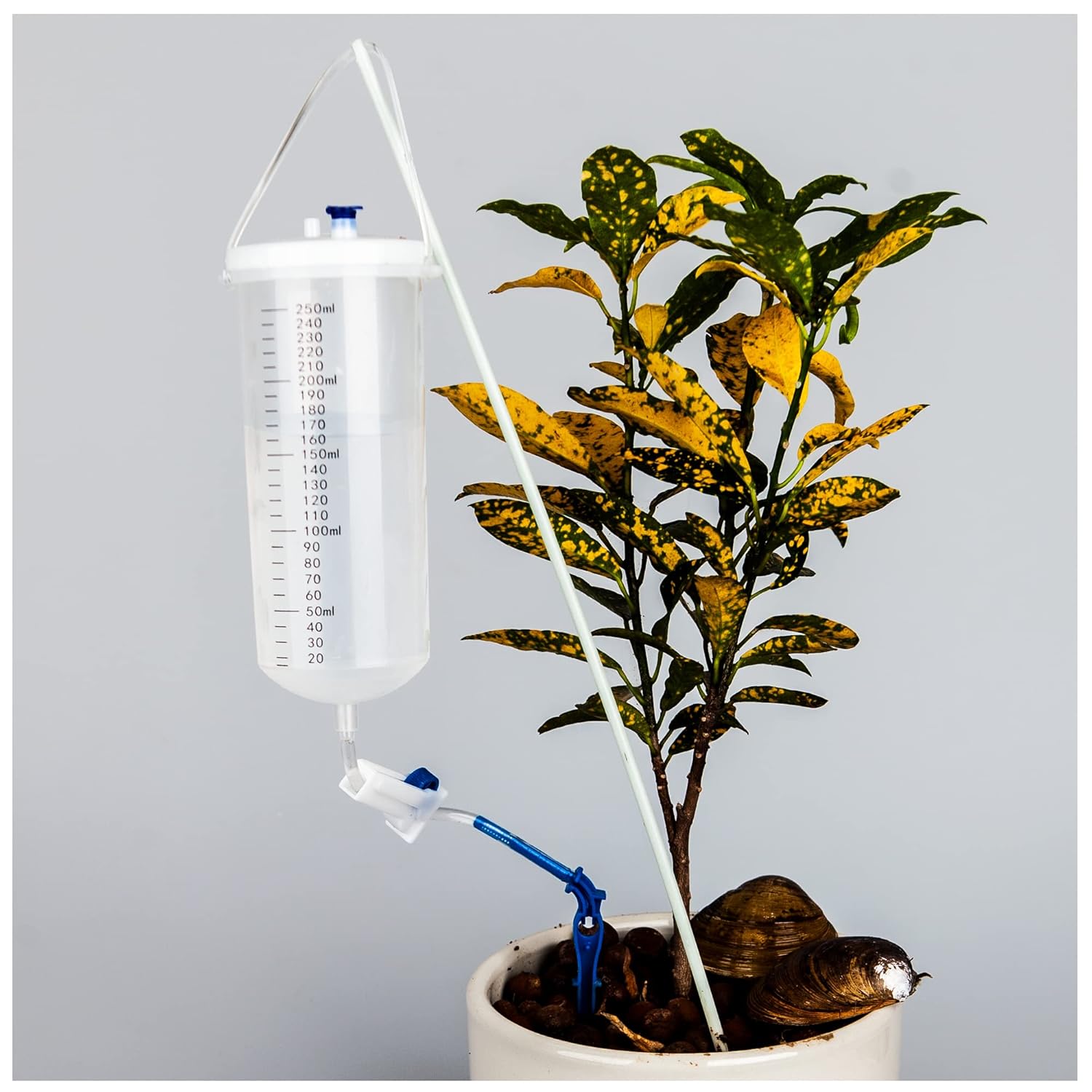 Amazon.com : Adjustable Flow Plant Self Watering Devices Irrigation ...