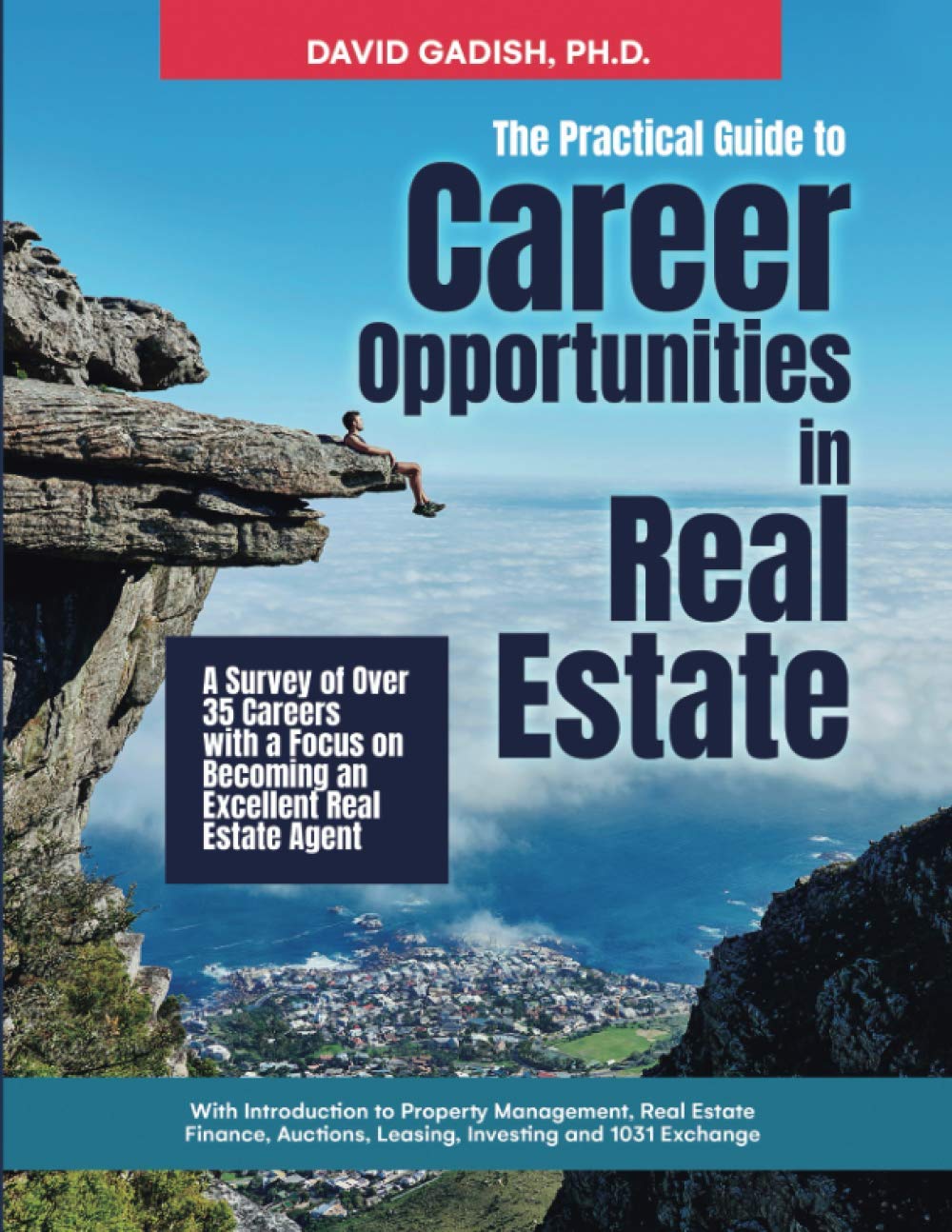 The Practical Guide to Career Opportunities in Real Estate: A Survey of ...