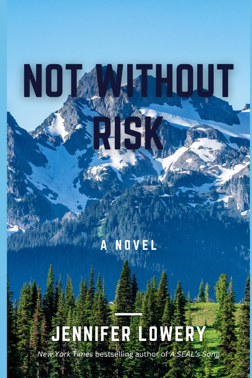 Amazon.com: Not Without Risk (Wolff Securities): 9781095569061: Lowery ...