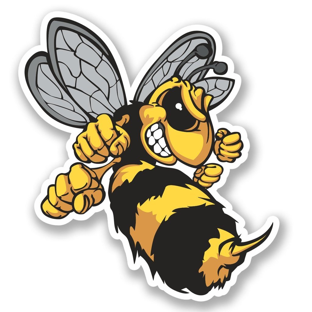 2 x 10cm/100mm Wasp Bee Hornet Vinyl SELF Adhesive Sticker Decal Laptop ...