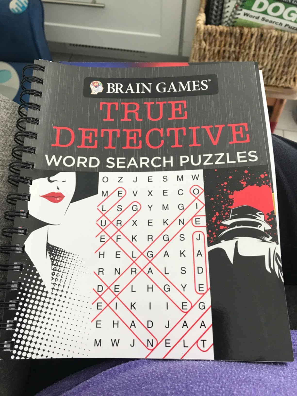 Brain Games - True Detective Word Search Puzzles: Publications ...