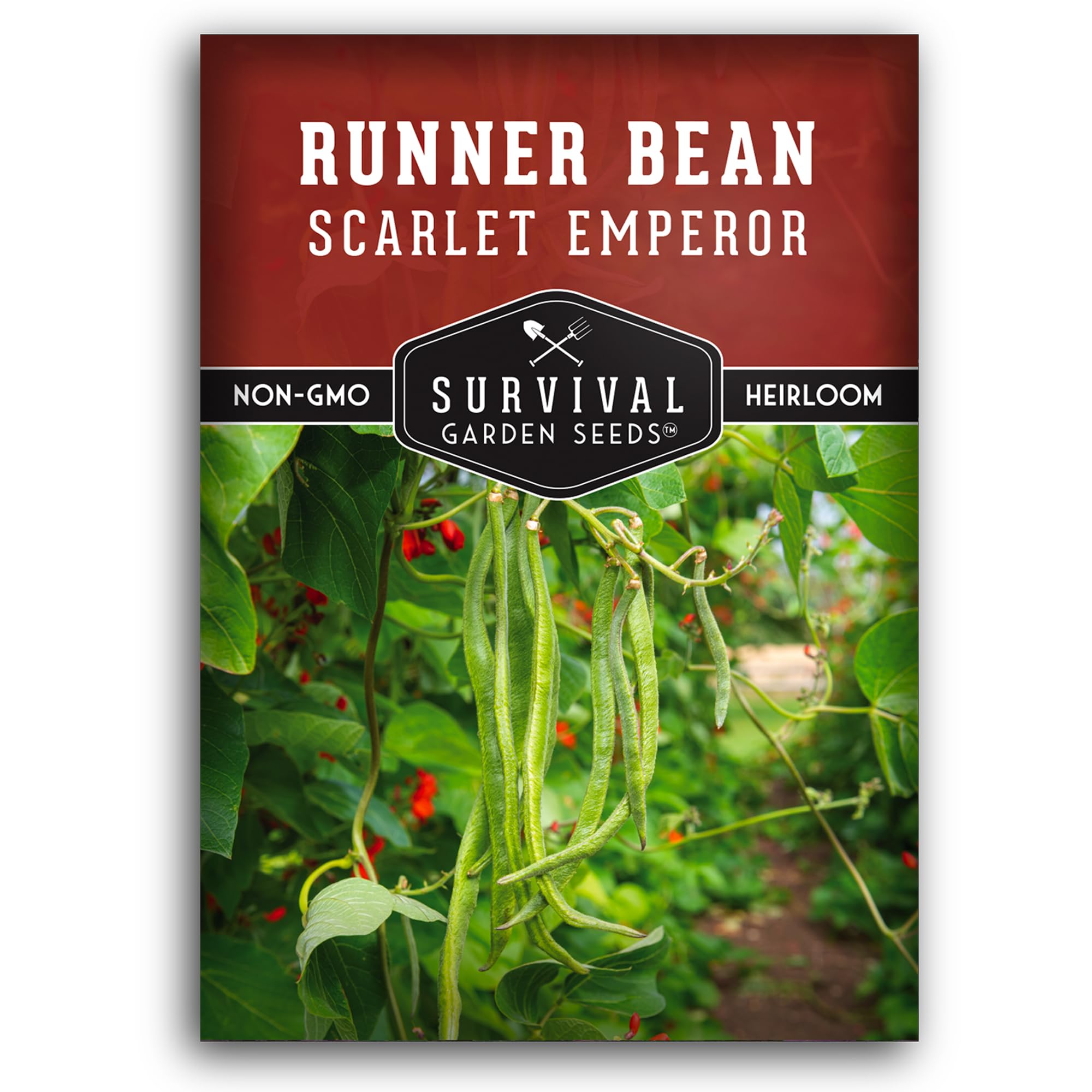 Amazon.com : Survival Garden Seeds Scarlet Emperor Runner Bean Seeds ...