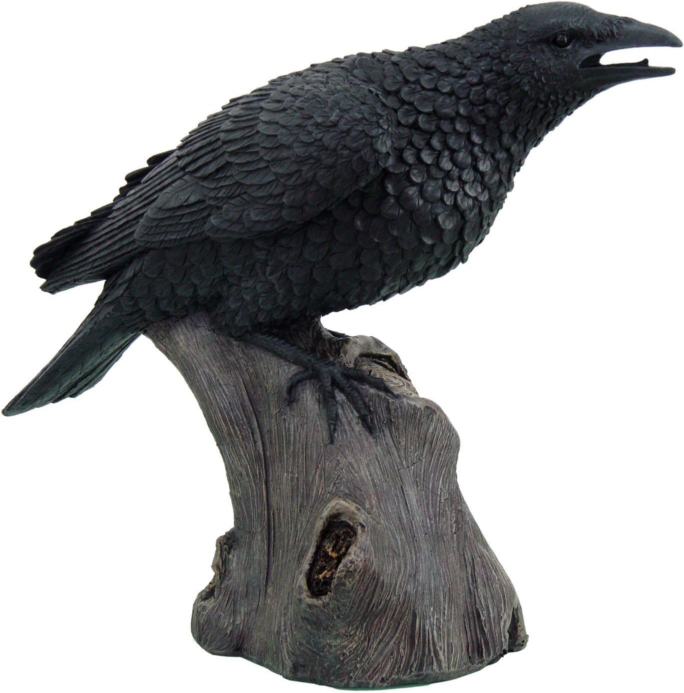 Amazon.com: Large 14" Tall Black Raven Crow Bird on Tree Stump Statue ...