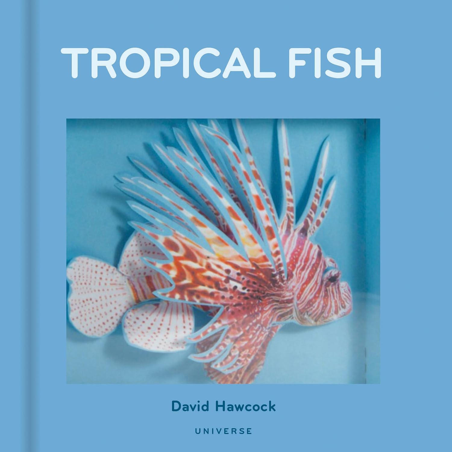 Amazon | Tropical Fish: Pop-Up | Hawcock, David | Fish & Sharks