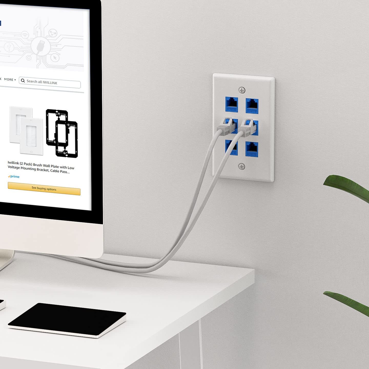 Snapklik.com : Iwillink 6-Port Ethernet Wall Plate