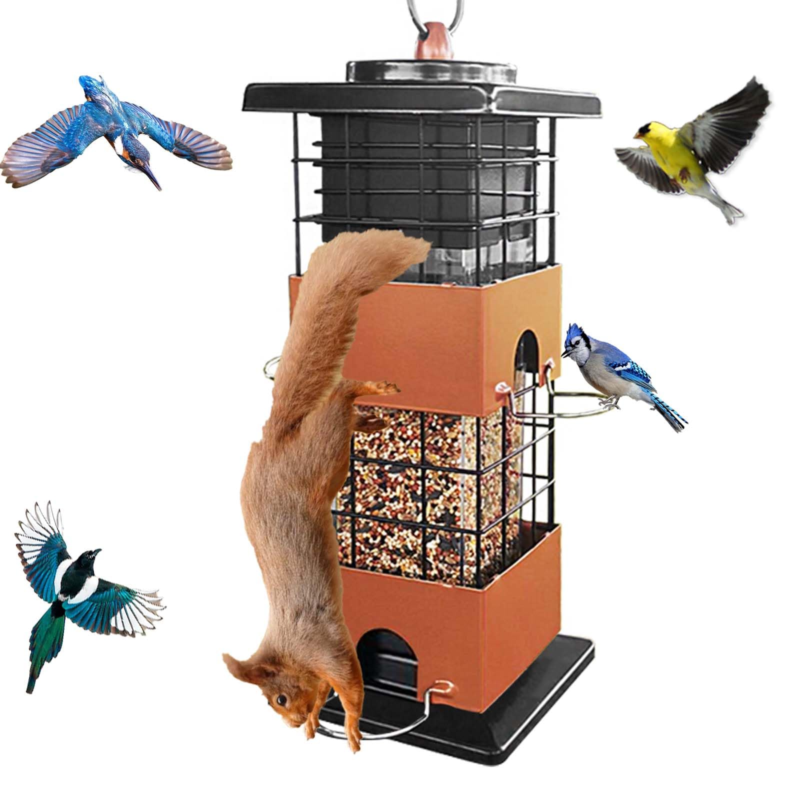 Amazon.com : Bird Feeder Squirrel Proof, Metal Squirrel Proof Bird ...