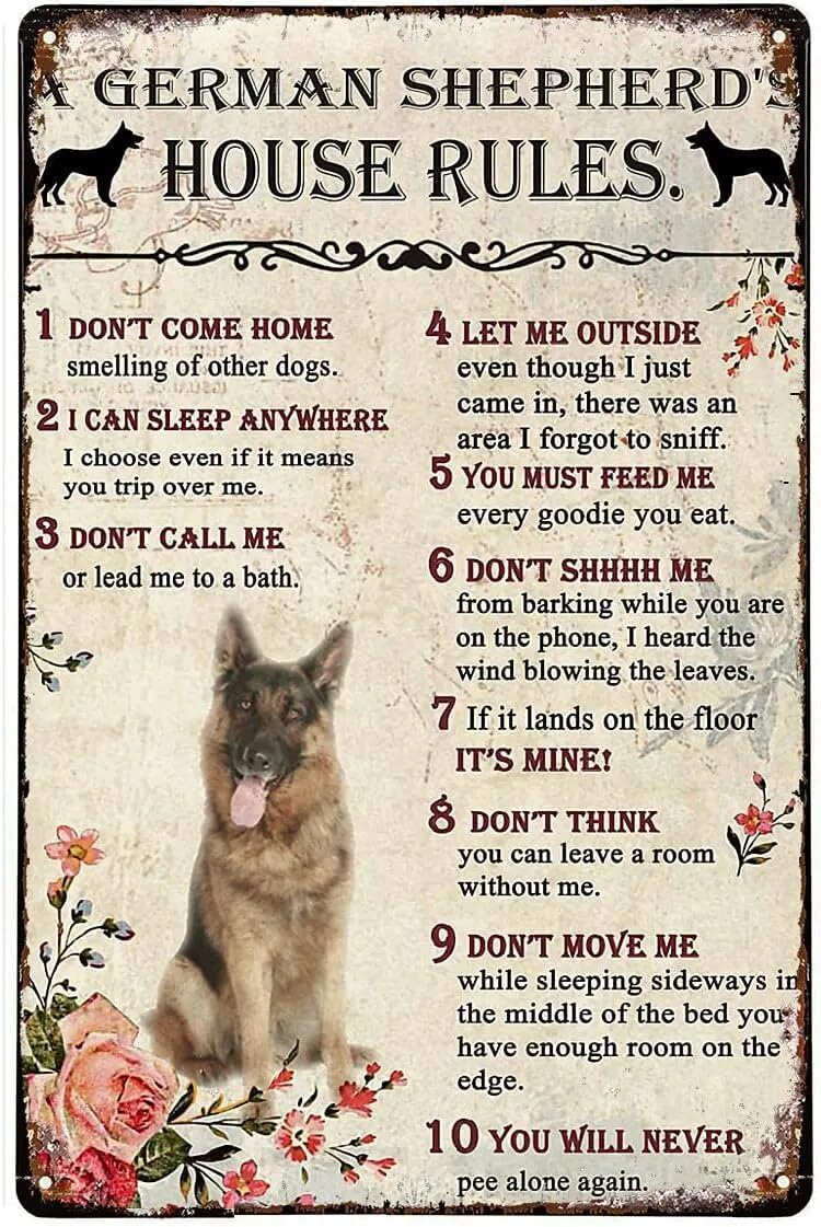 Amazon.com: Vintage German Shepherd House Rules Aluminium Metal Tin ...