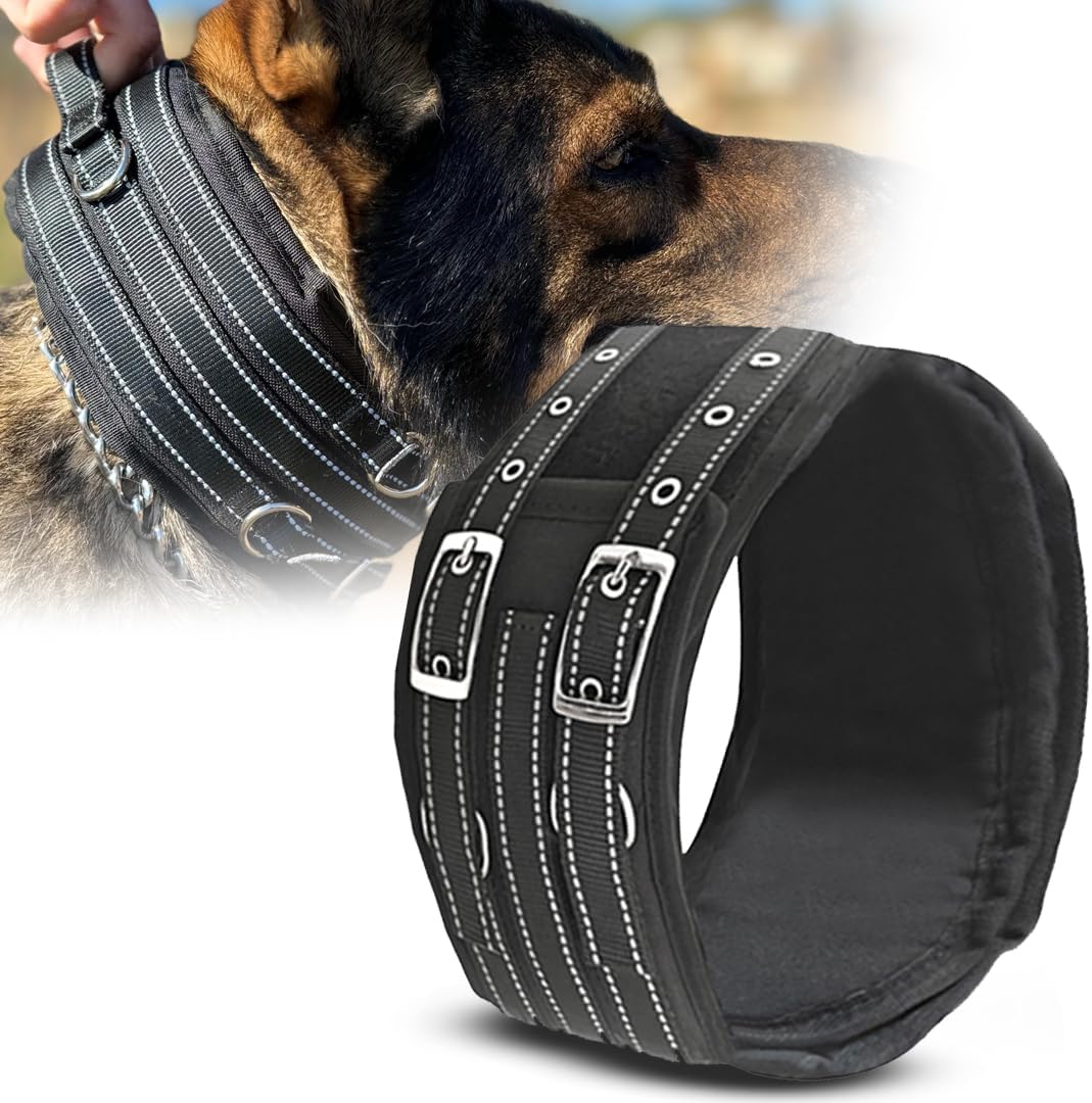 Amazon.com : CANISALFA Tactical Dog Collars for Medium Dogs| 9mm Thick ...