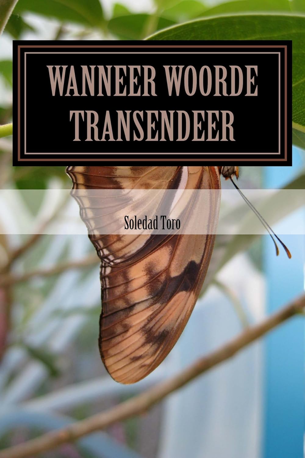 Amazon.com: Wanneer woorde transendeer (Afrikaans Edition) eBook : Toro ...