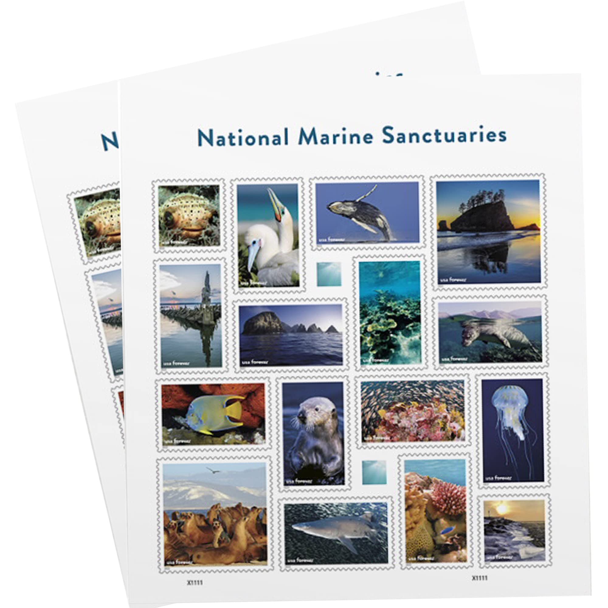 Amazon.com: National Marine Sanctuaries USPS Forever Postage Stamp 2 ...