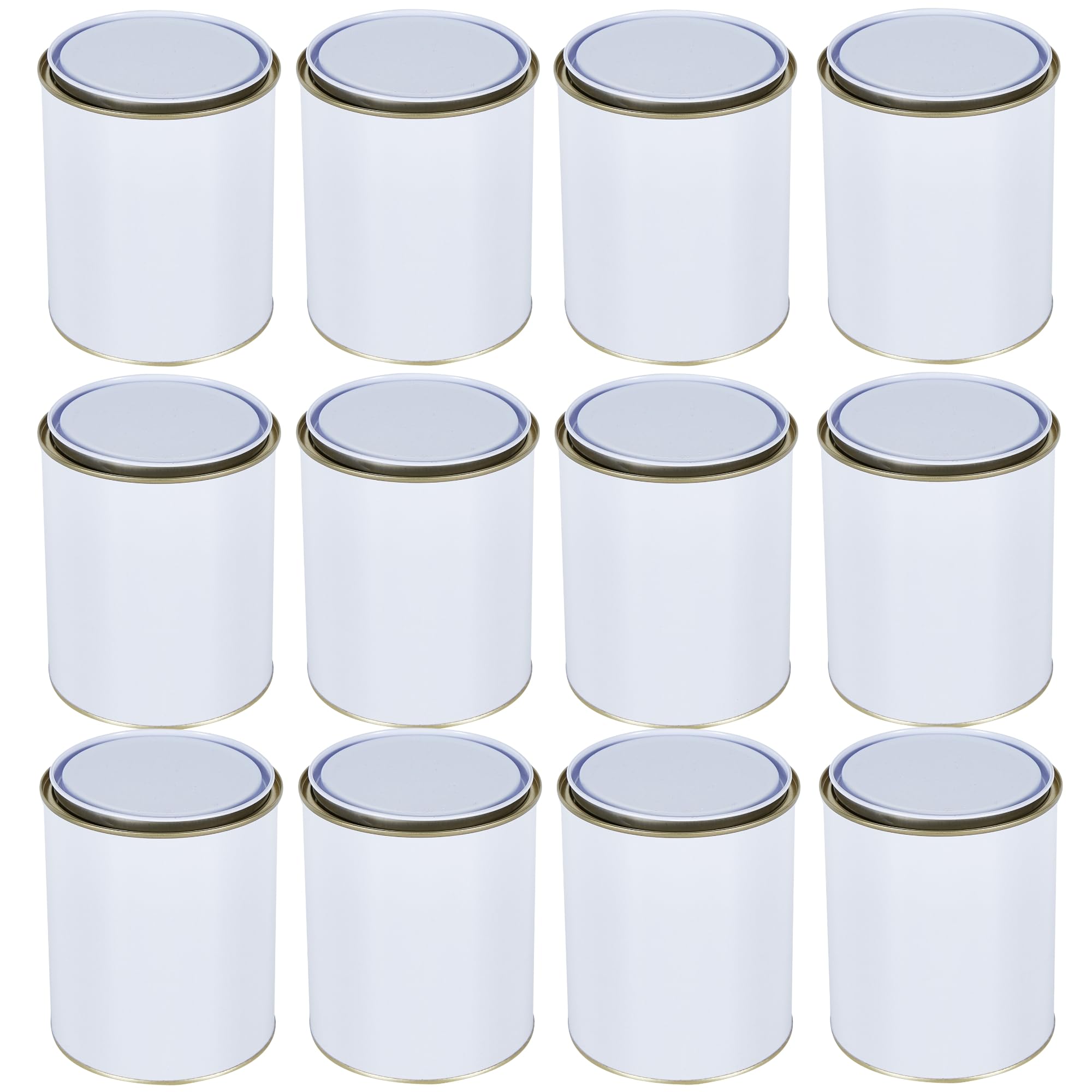 12pcs Empty Paint Can with Lid Mixing Metal Tin Cans with Metal Lever ...