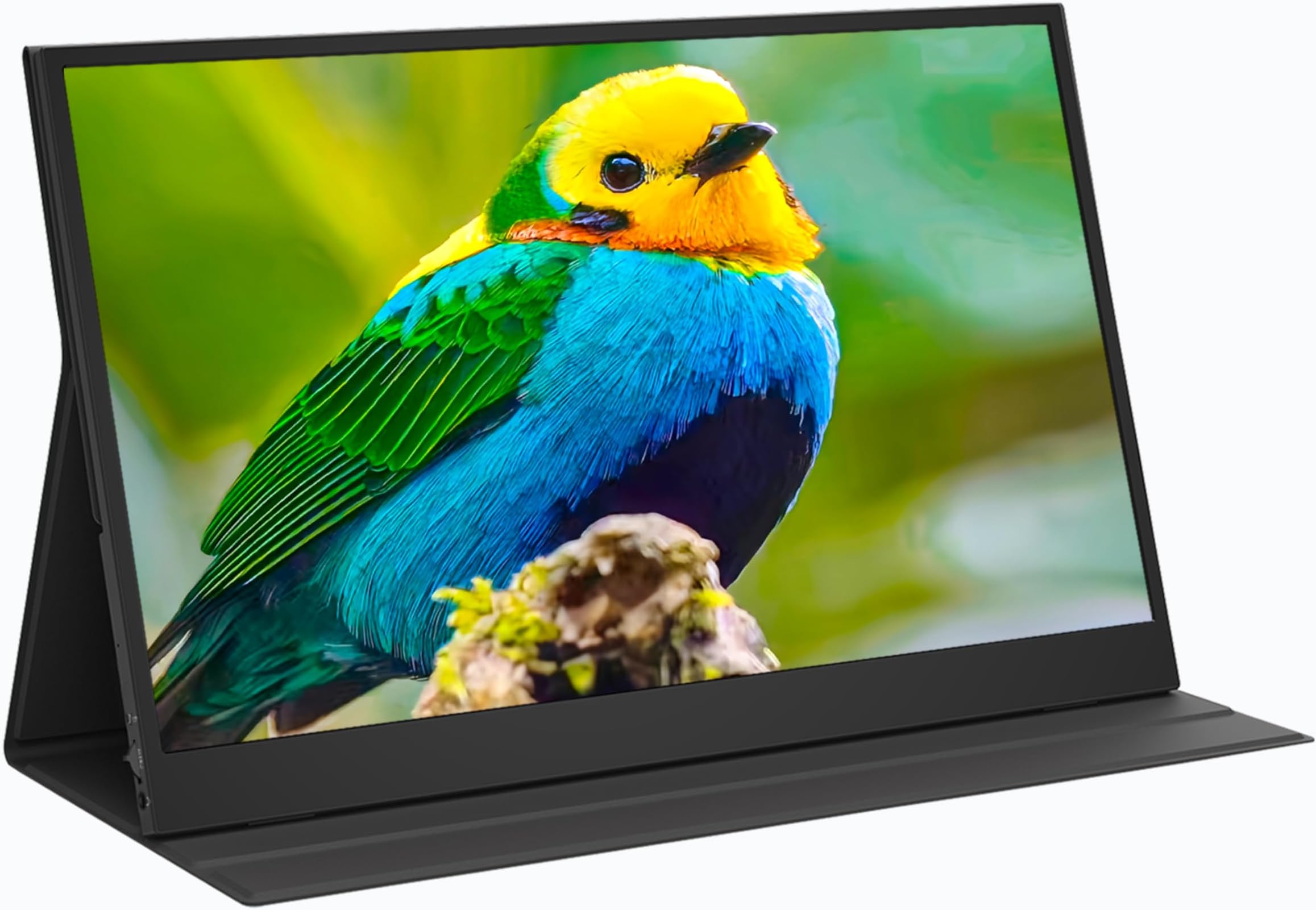 Amazon.com: Rii Portable Monitor, 15.6” 1080P FHD USB-C HDMI Computer ...